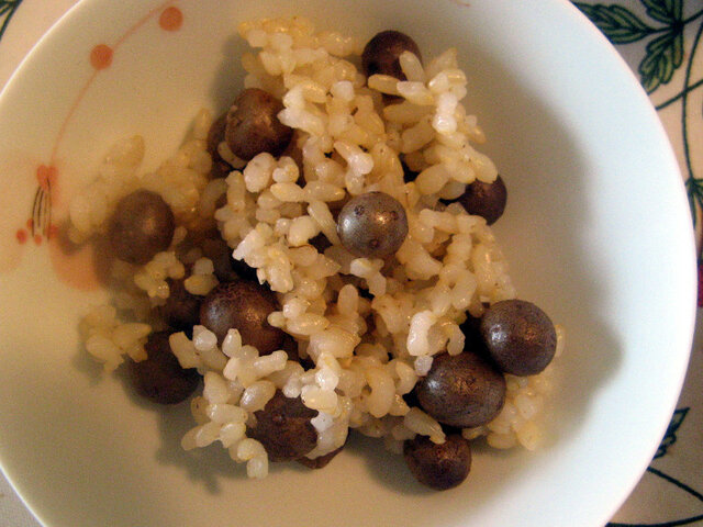 Japanese mountain yam | Dioscorea japonica | Flower Database