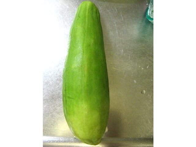 Oriental pickling melon | Cucumis melo var. conomon | Flower Database