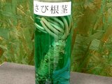 Wasabi | Wasabia japonica | Flower Database