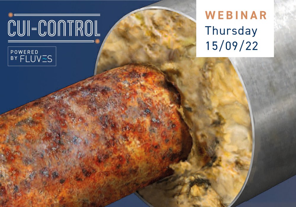 Webinar CUI-CONTROL: Prevent Corrosion Under Insulation with Fiber ...