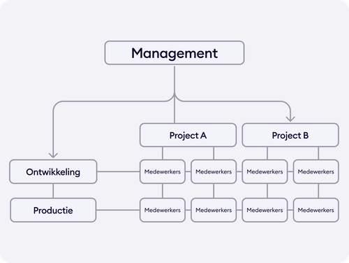 Organogram: soorten, functies, ontwerpen en elementen