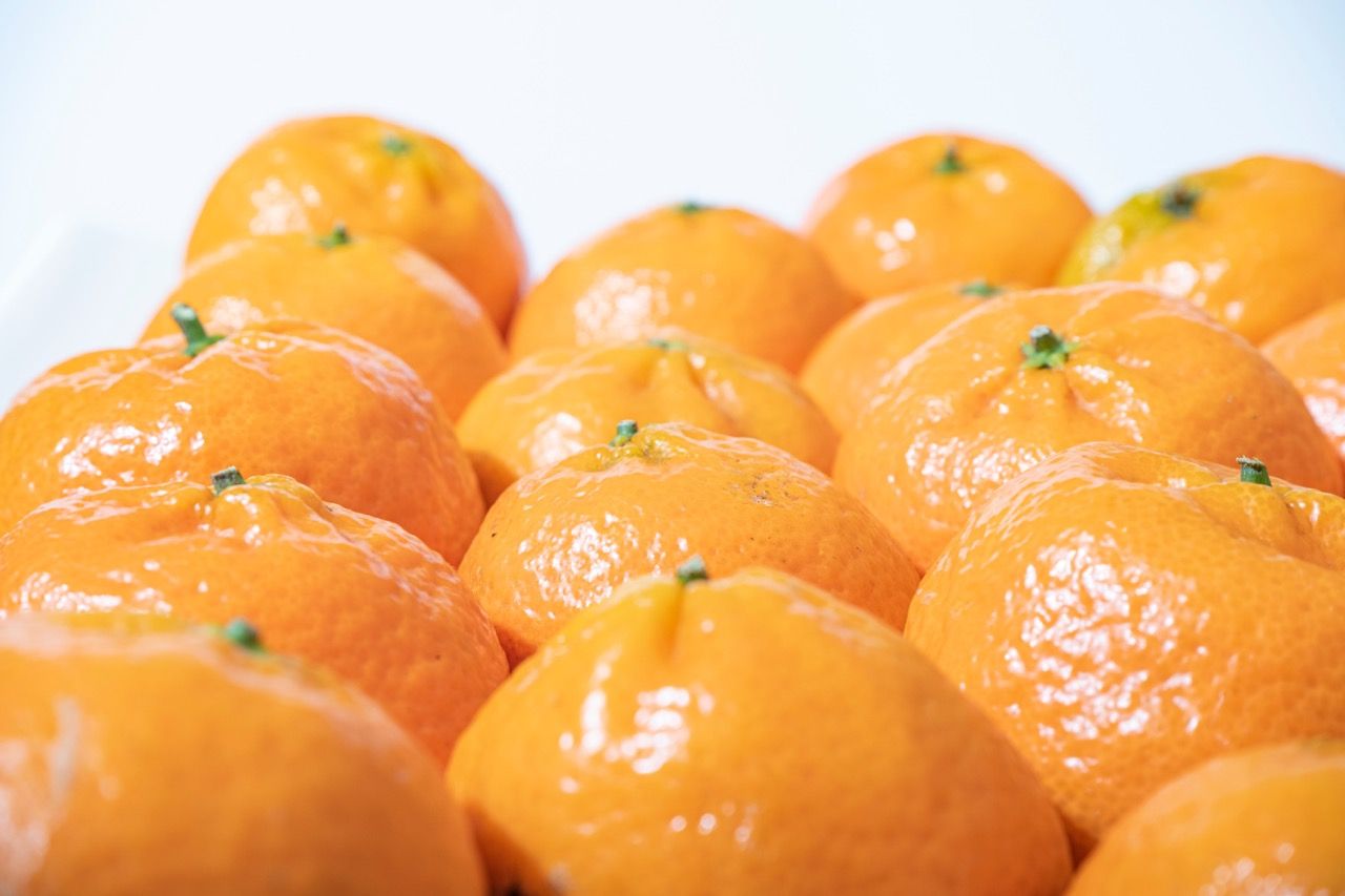 Alles wat je moet weten over mandarijnen | Foodbag