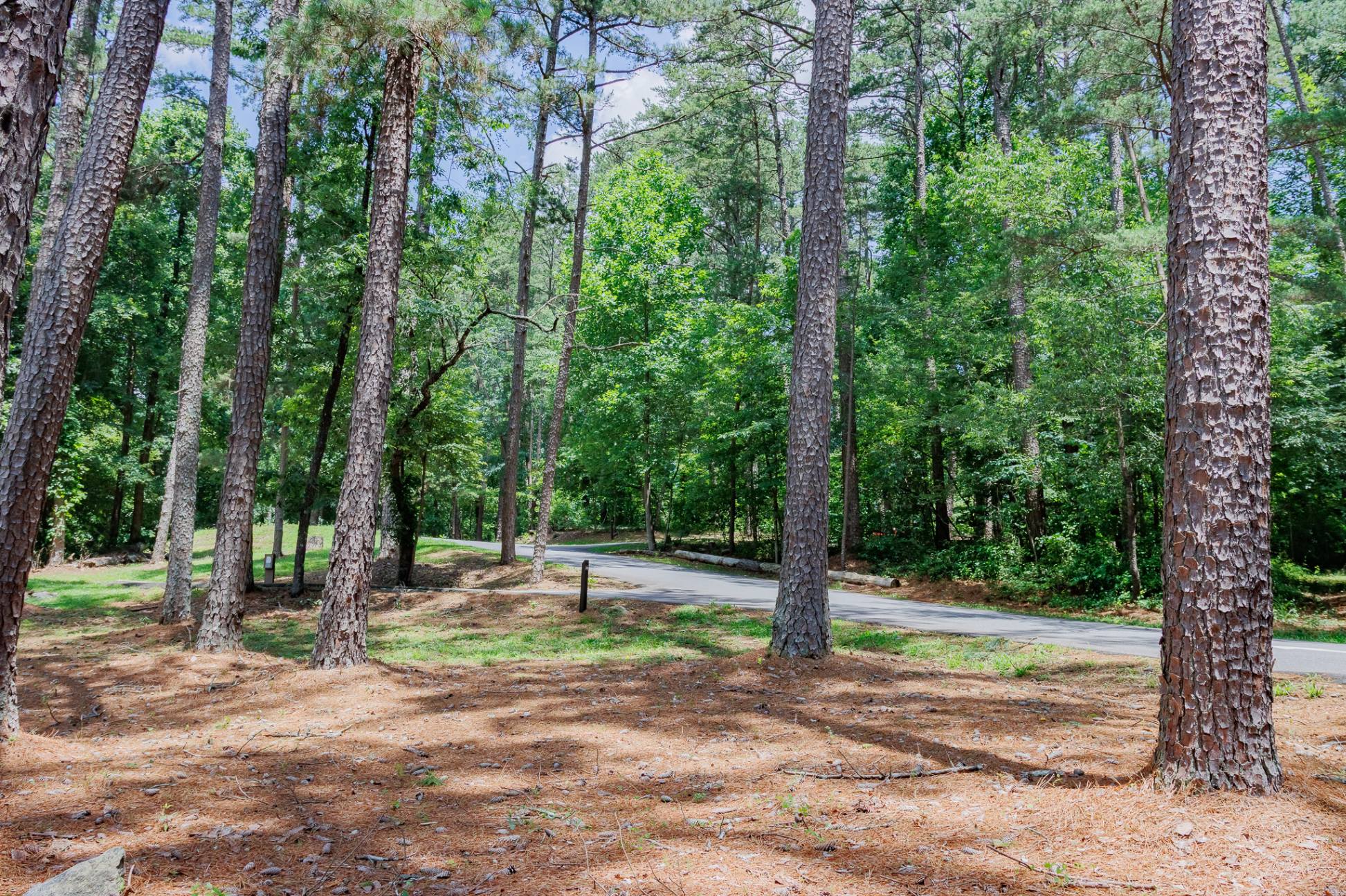 skip to main content forsyth county parks and recreation