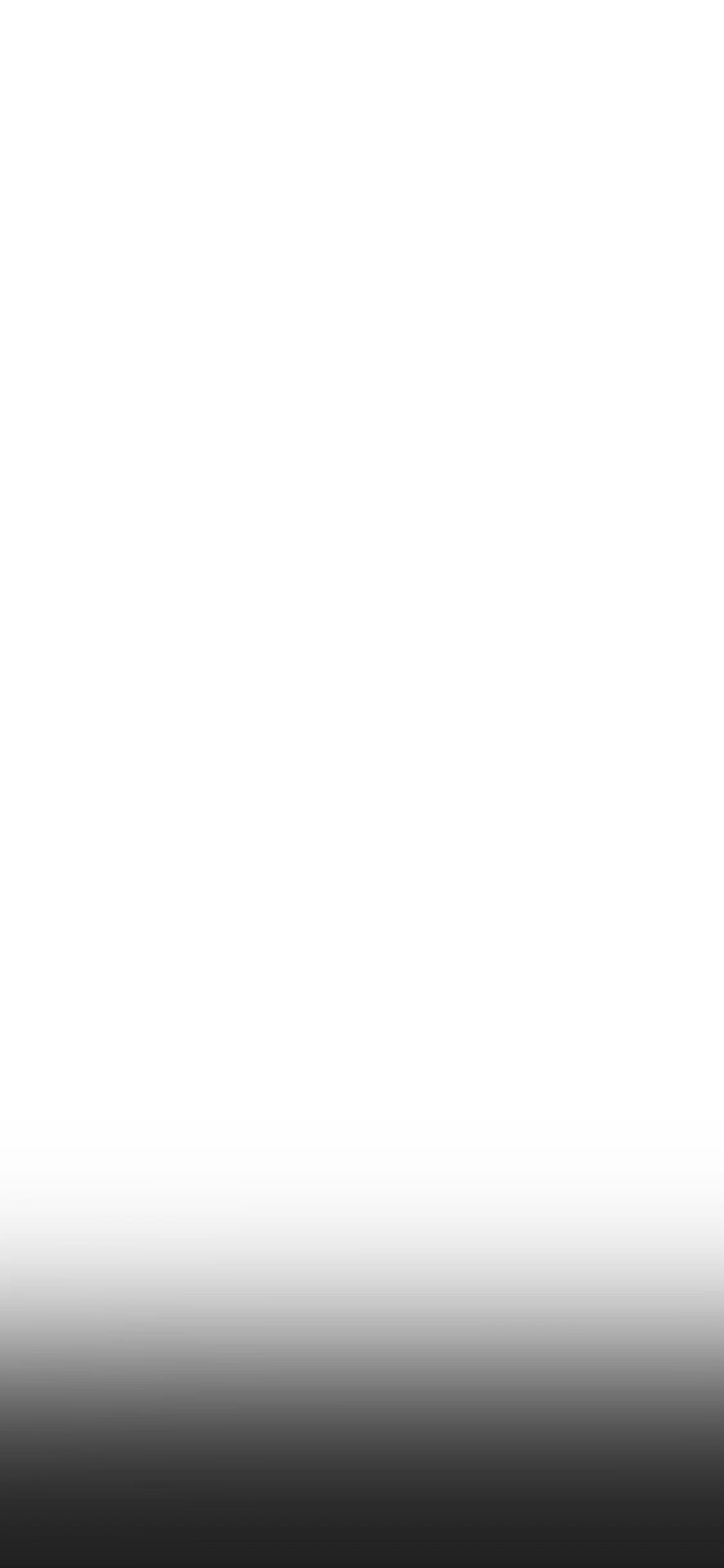 OSロゴベルベットクロップセット - ODDSTUDIO | 60% - アジアファッション通販