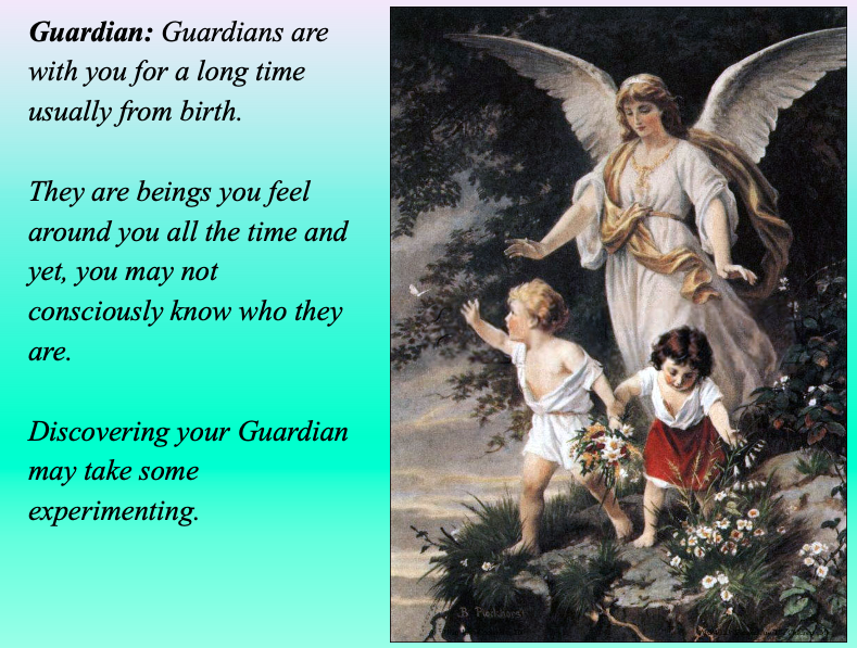 EH Training Materials - Module 2 | Tribe Sacred Anatomy