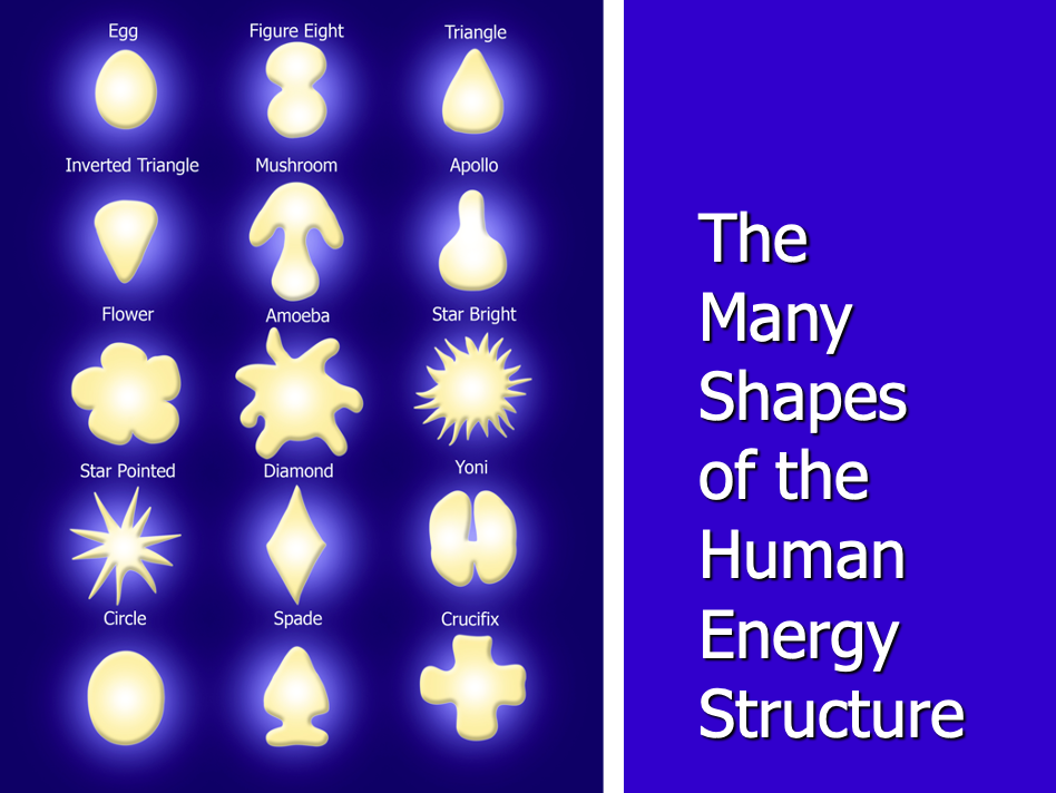 EO Training Class 2 | Tribe Sacred Anatomy