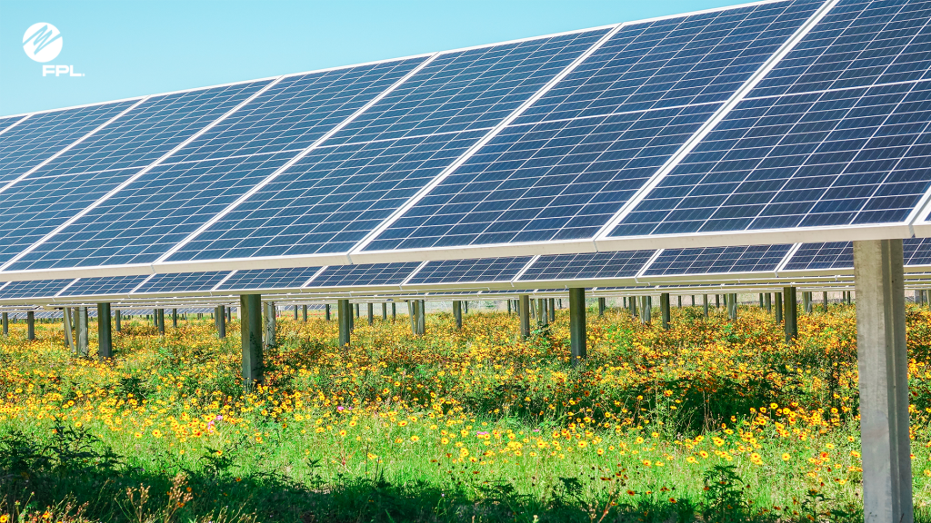 Celebrate Sustainable Energy this Earth Day - FPL SolarNow