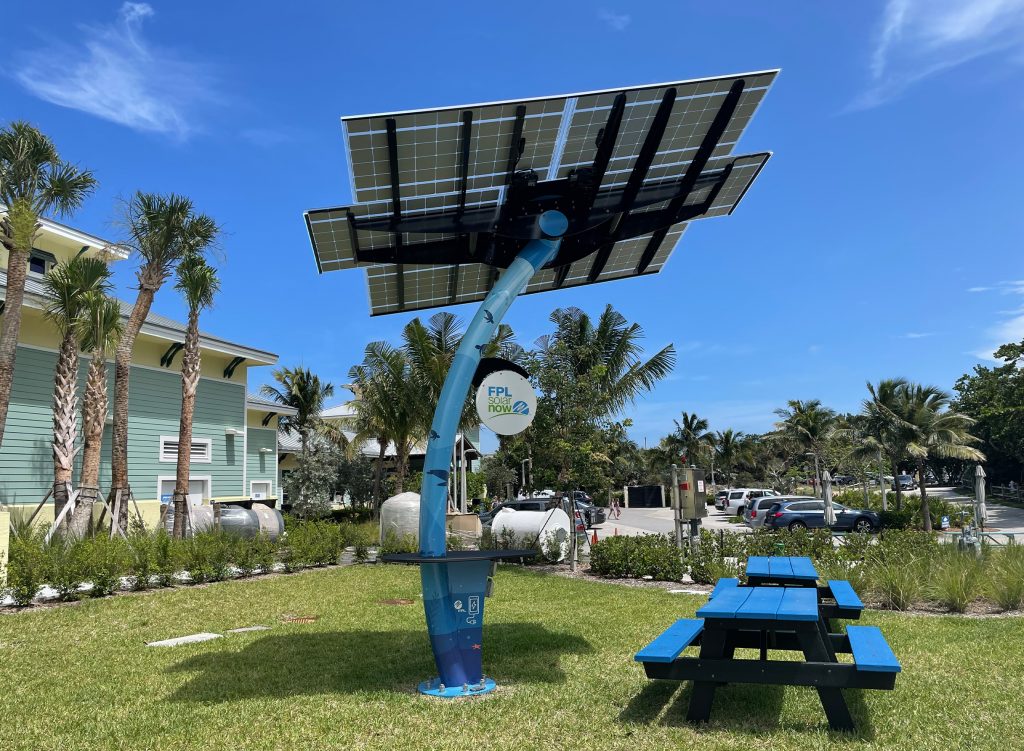 FPL SolarNow Supports All Types of Trees - FPL SolarNow