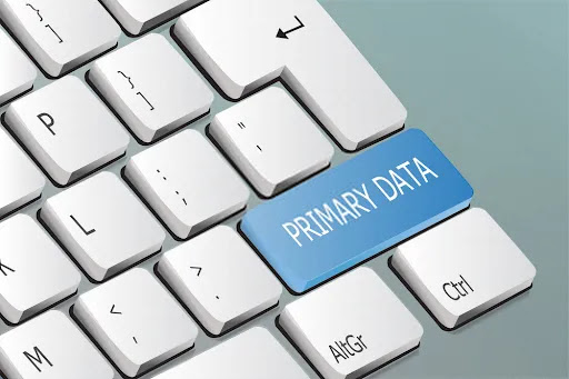 What Is Primary Data Examples Collection Methods 