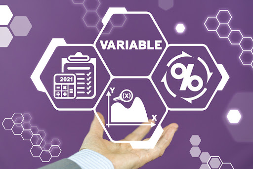 Extraneous Variables Explained Types Examples