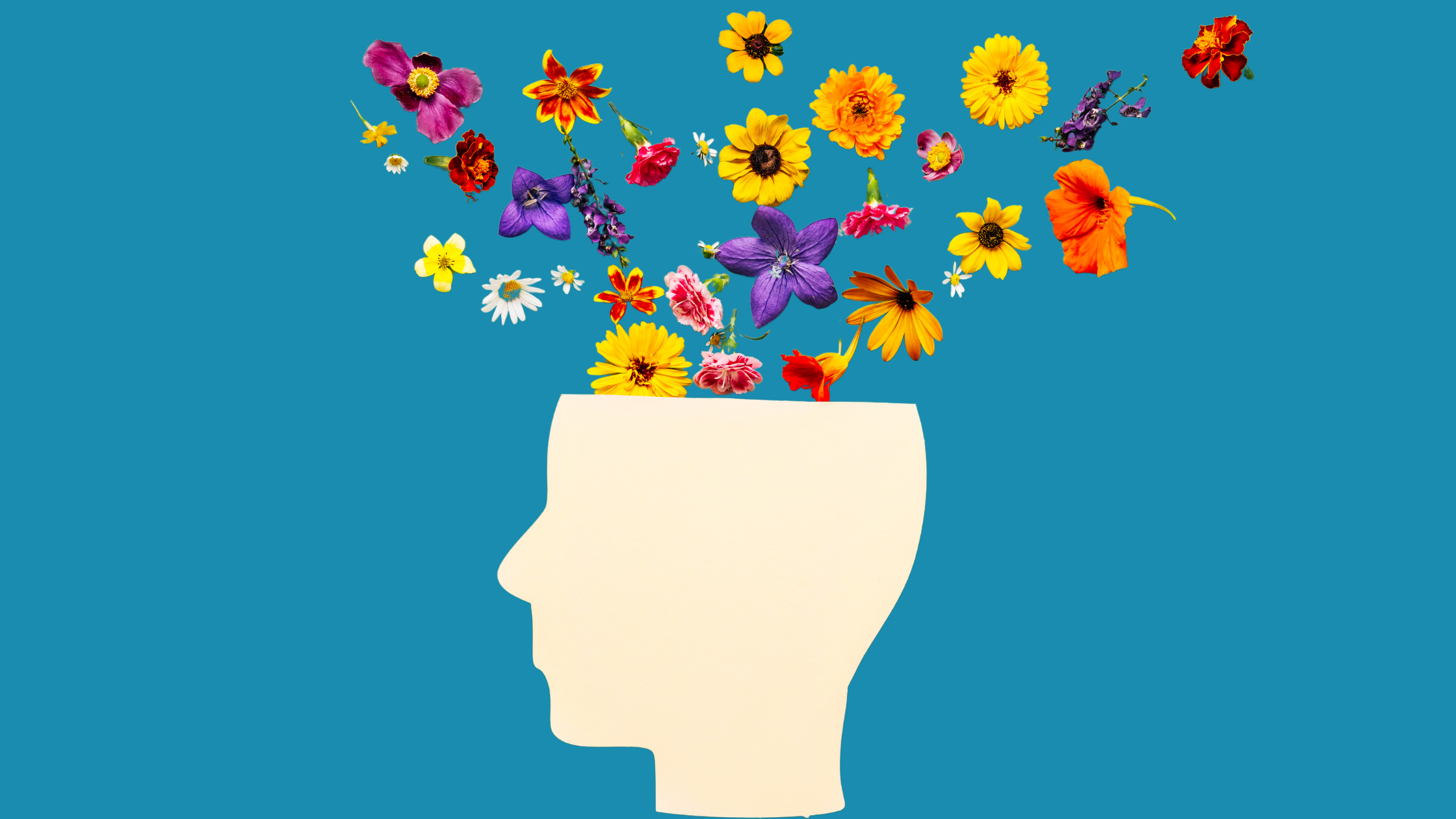 Thematic Apperception Tests: Meaning, Use Cases, Pros & Cons