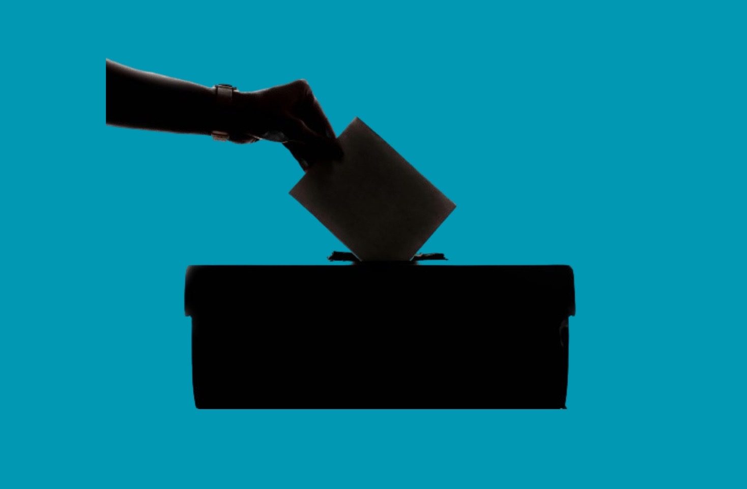 Cumulative Voting in Corporate Elections: The Complete Guide