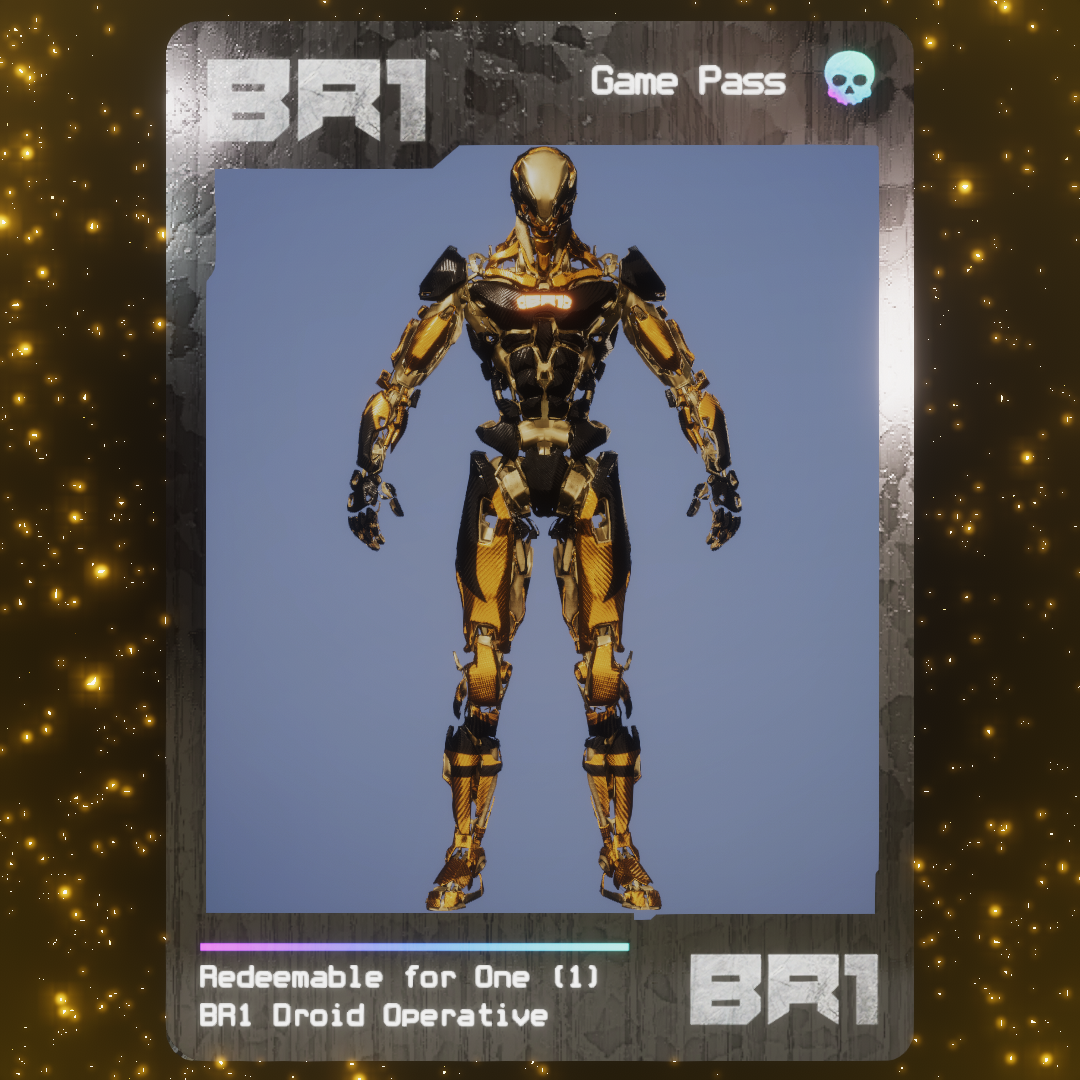 BR1 Character #4152 | NFT on SolSea