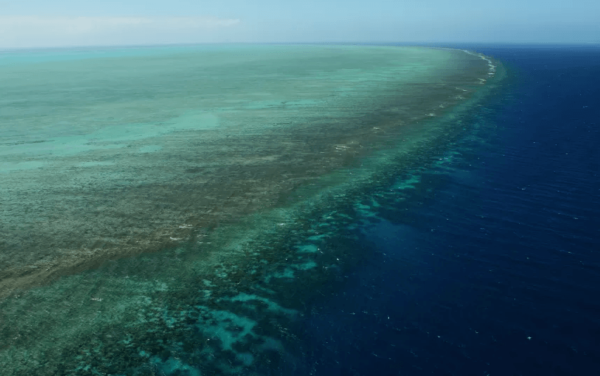 MEASURING THE CONTINUED DESTRUCTION OF CORAL IN THE GREAT BARRIER REEF ...