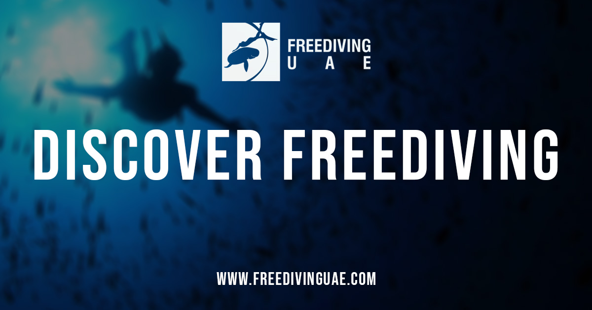 Discover Freediving in UAE