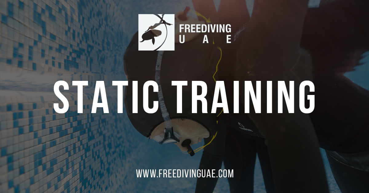 Static Training