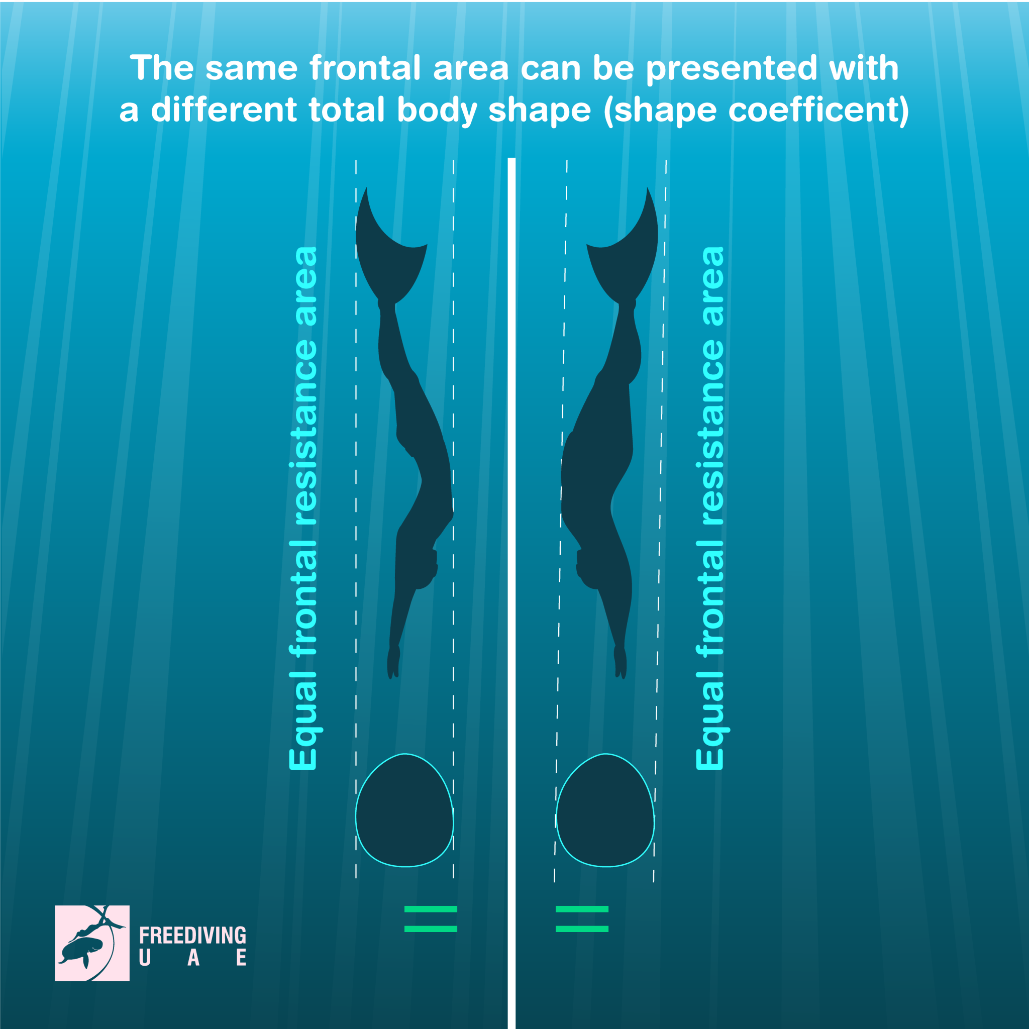 Swimming resistance: why is it important to be streamlined ...