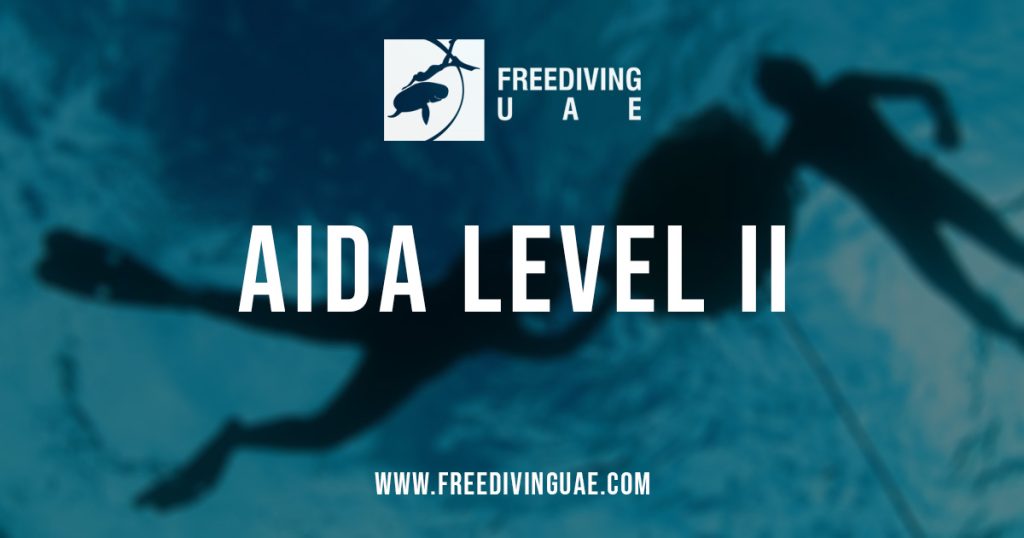 AIDA Diving Courses in UAE - Freediving Education in UAE - Freediving ...