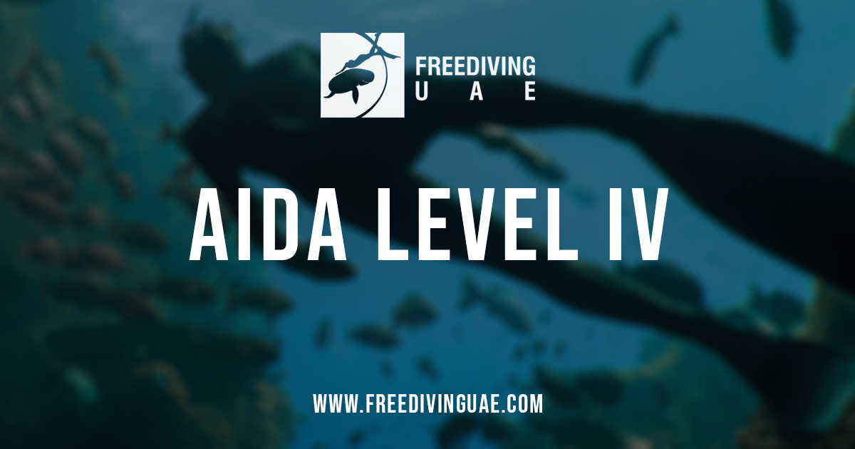 AIDA Diving Courses in UAE - Freediving Education in UAE - Freediving ...