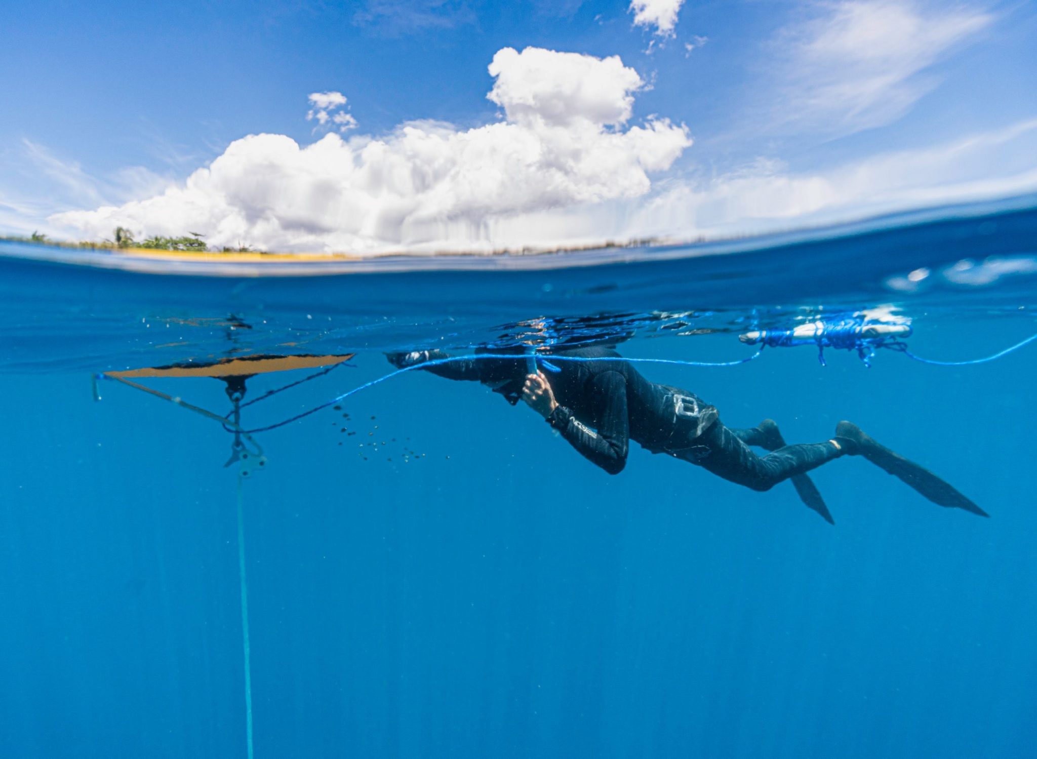 How long does it take to get good at freediving? - Freediving in United ...