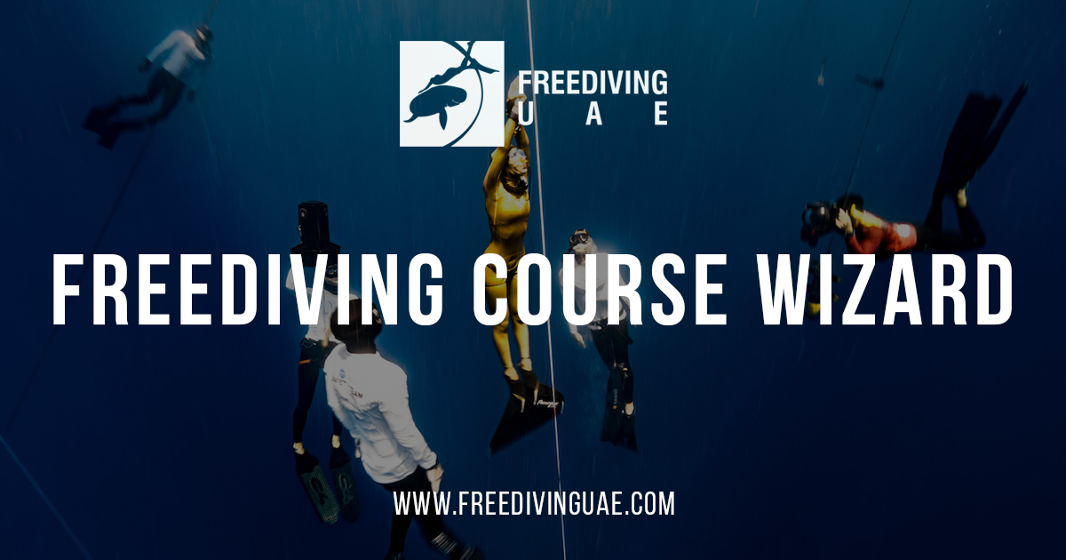 Freediving Course Wizard - Freediving in United Arab Emirates. Courses ...