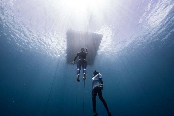 Types of diving - Freediving in United Arab Emirates. Courses ...