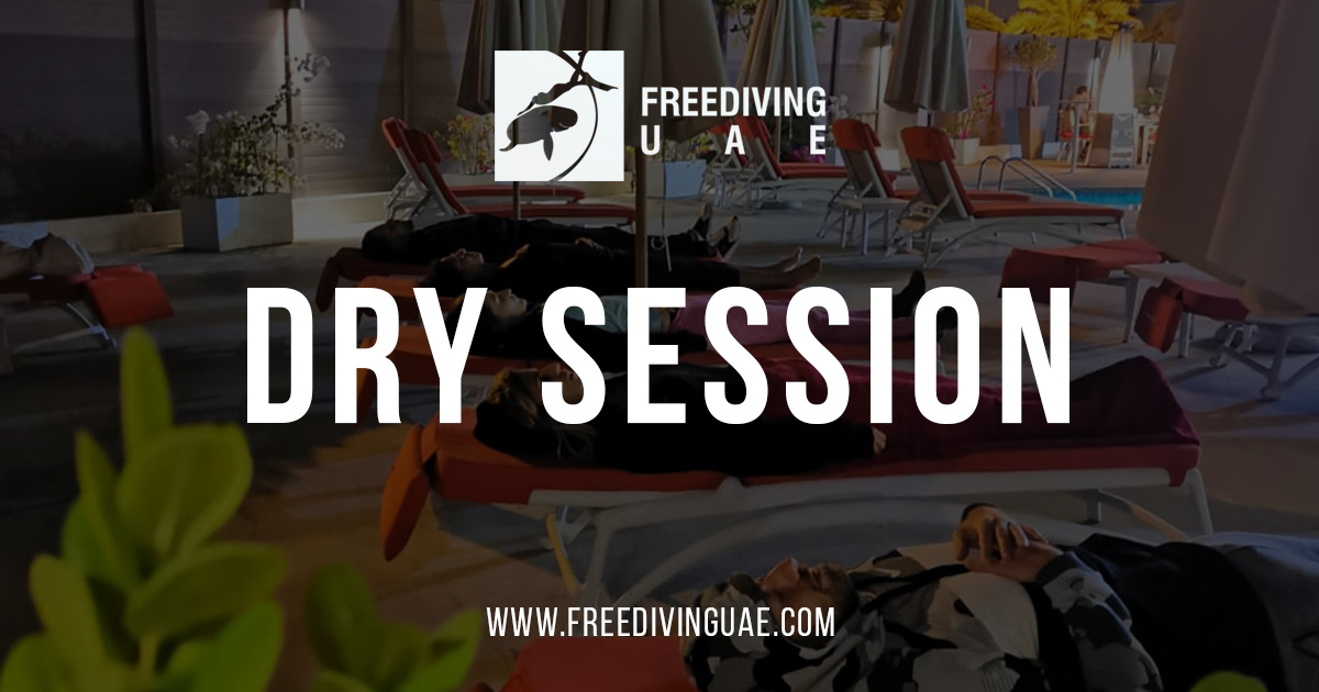 Dry Session - Freediving in United Arab Emirates. Courses, Certificates ...