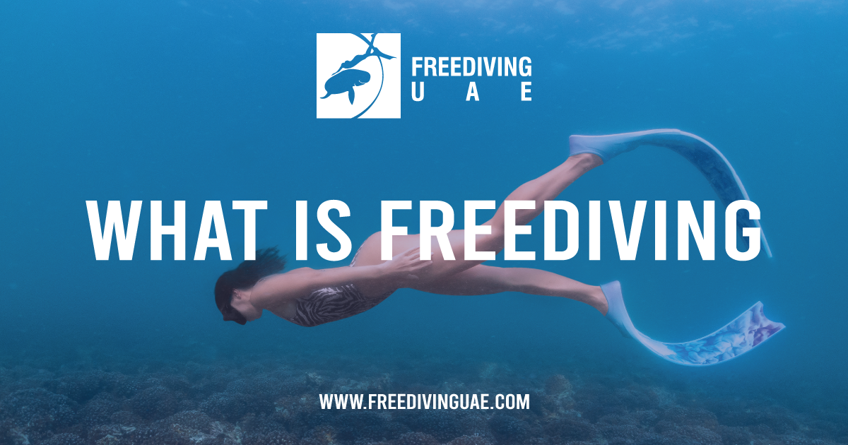 What is Freediving