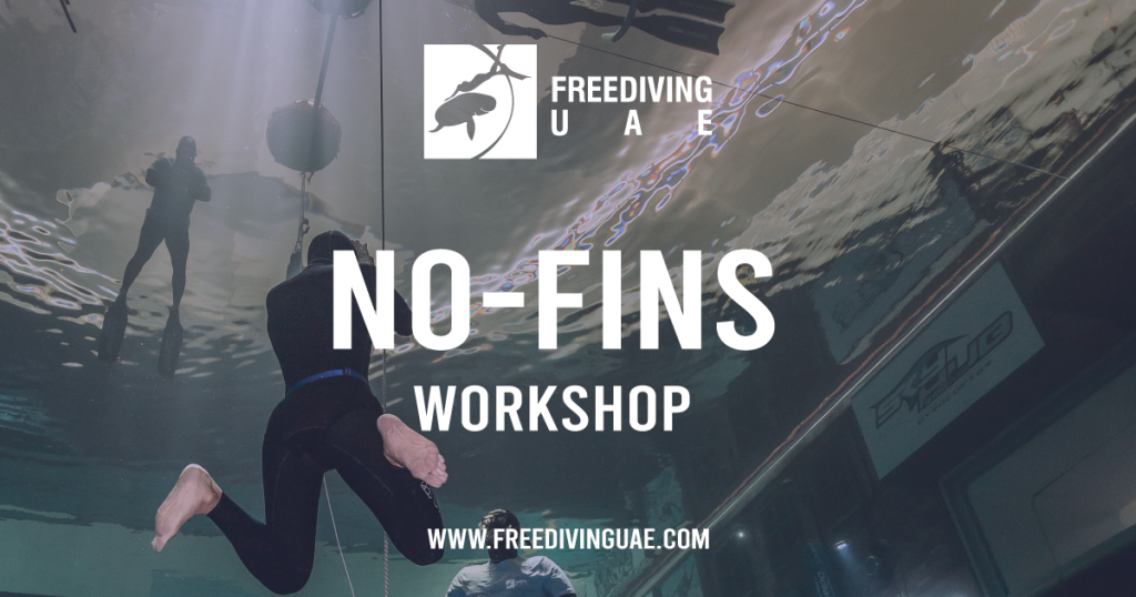 No-Fins Workshop