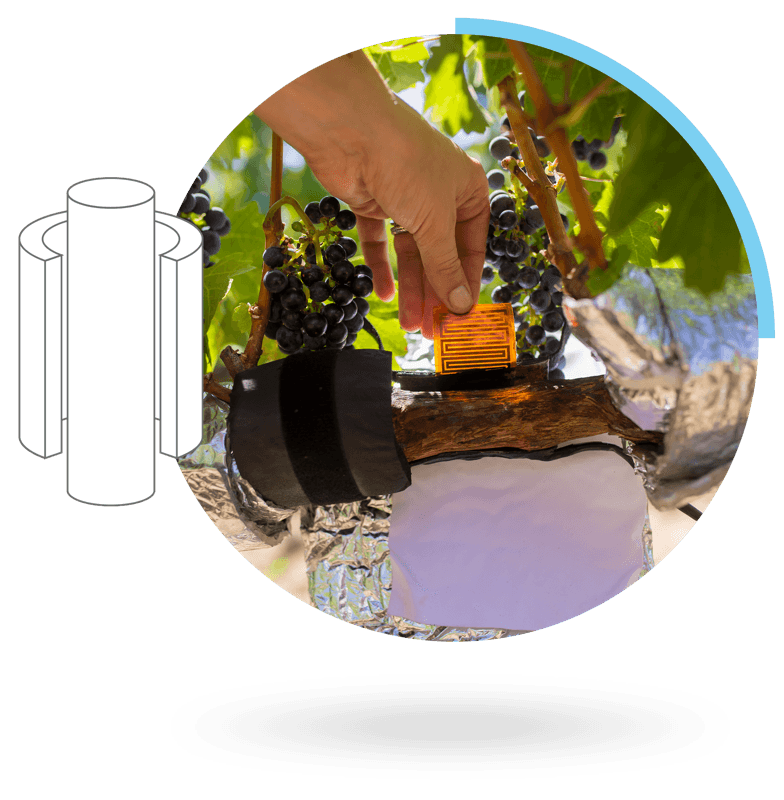 Fruition analytics - Advanced vineyard monitoring solution