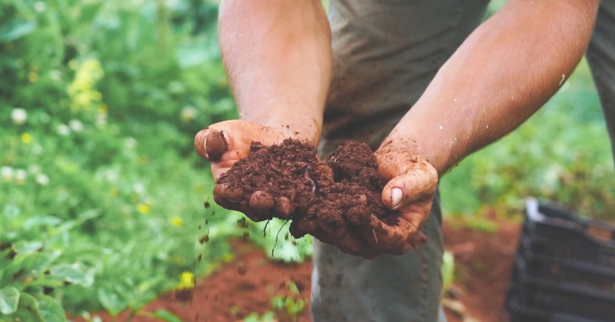 Unlocking the potential of a soil-based economy - FT Channels