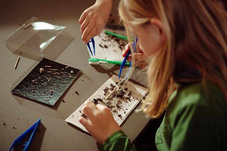 Op zondag 23 november 2025 vindt Dag van de Wetenschap plaats - Dag van ...