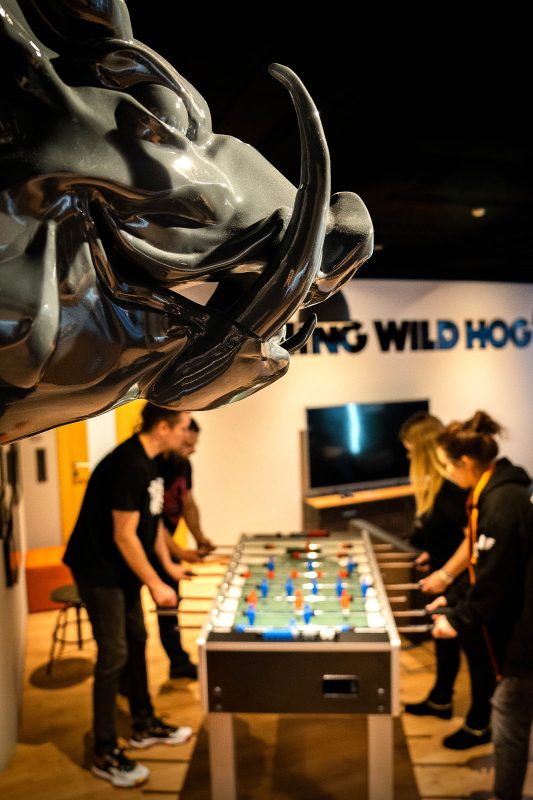 Flying Wild Hog – Founded in 2009 in Warsaw, Poland, independent game ...