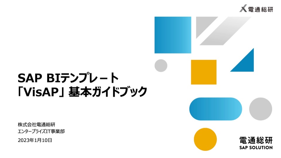 VisAP 基本ガイドブック｜電通総研 SAP SOLUTION