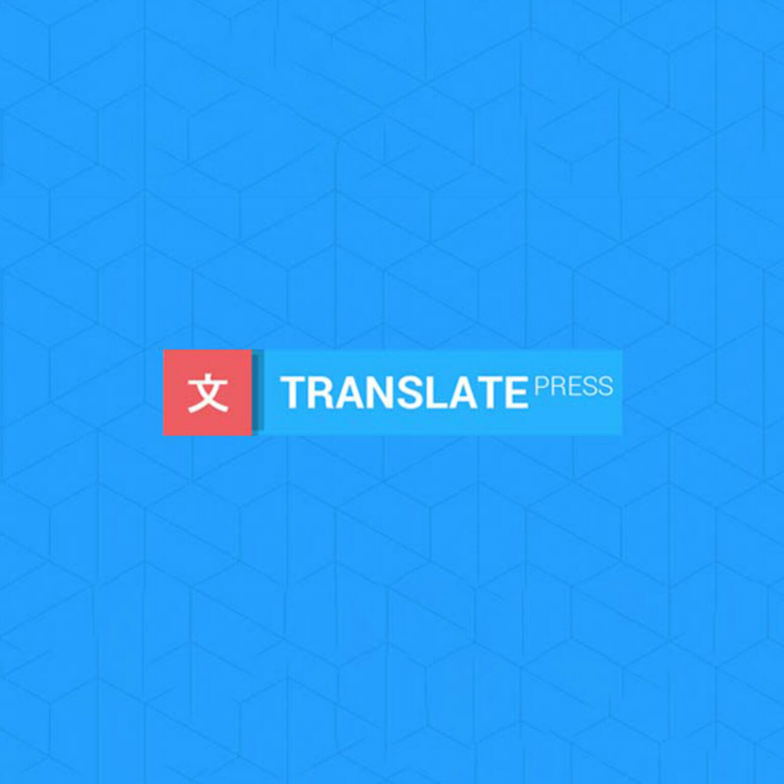 TranslatePress Pro - WordPress Translation Plugin Thats Anyone Can Use