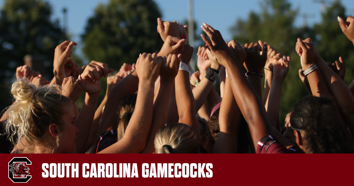 Gamecocks Draw Against Clemson for Season Opener – University of South ...