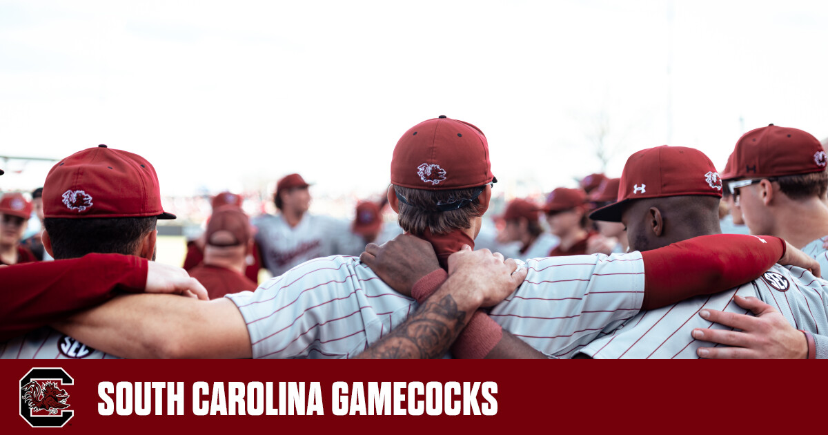 Gamecock Baseball Notebook – University of South Carolina Athletics