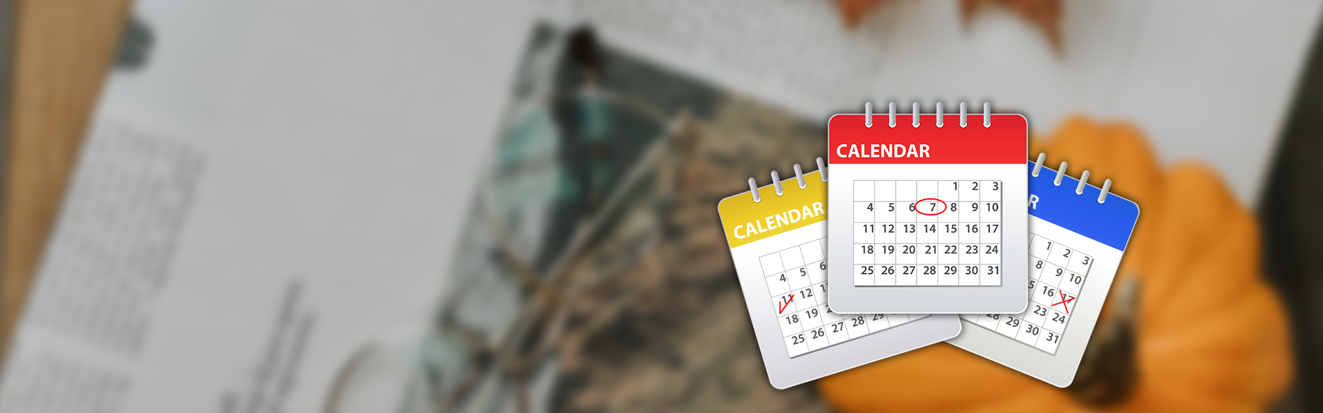 Upcoming Trainings - Discover our Upcoming Course Schedules