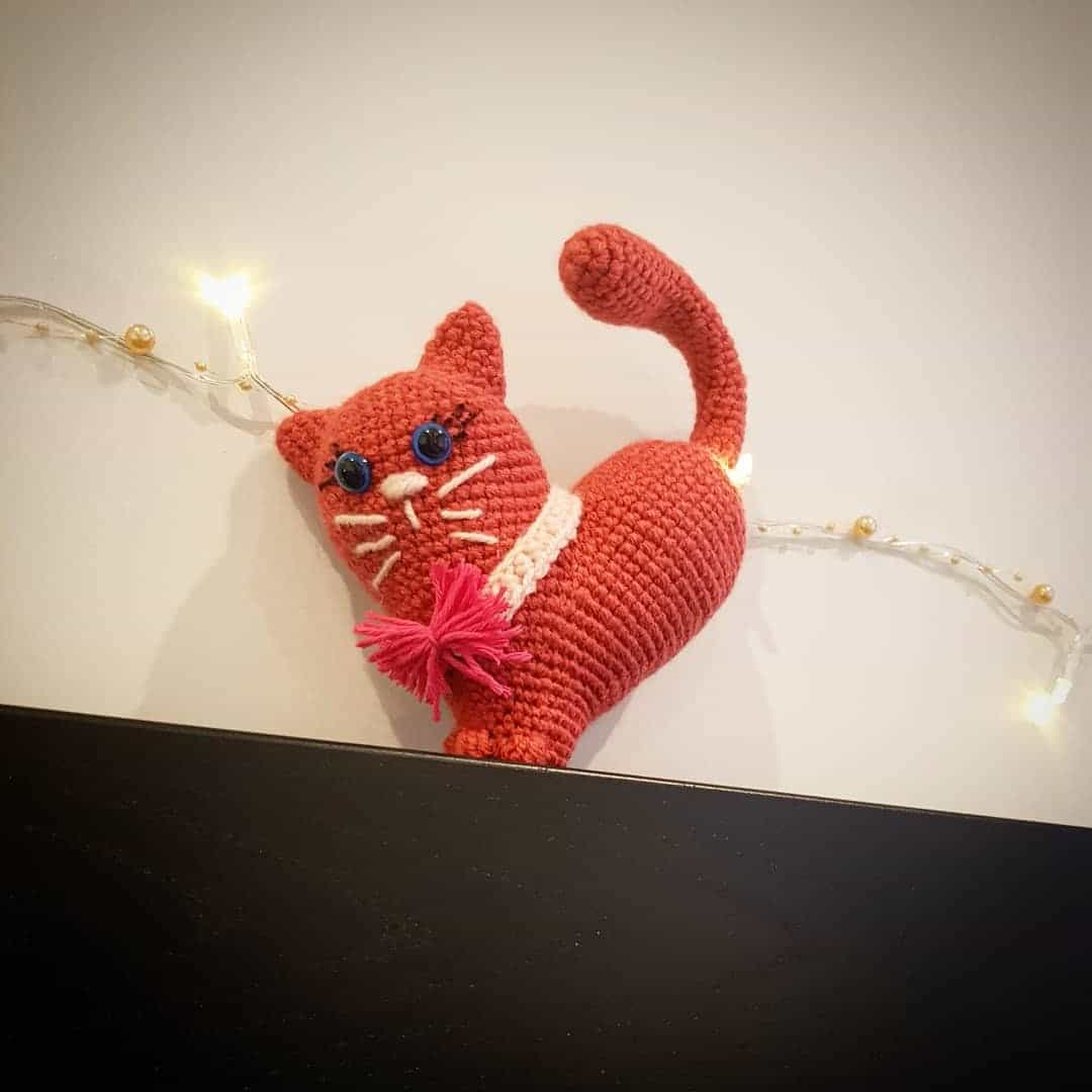 Valentine's Heart Cat • Made By Mums