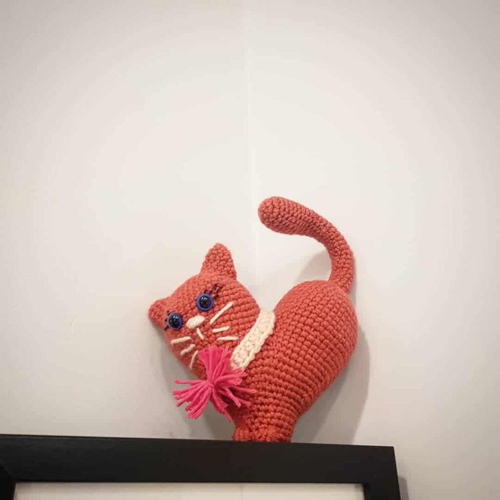 Valentine's Heart Cat • Made By Mums