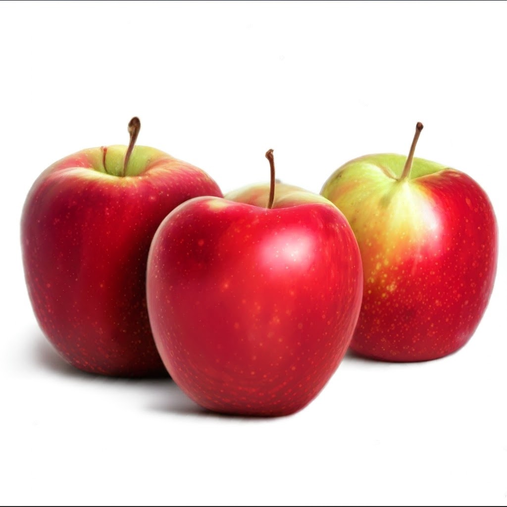 geckonum_benchmark_t2i/examples.md at main · google-deepmind/geckonum_benchmark_t2i · GitHub