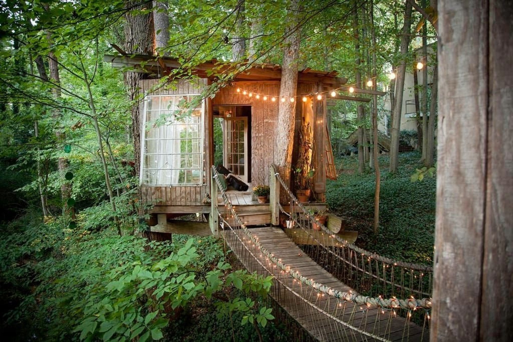 Canopy Tree House
