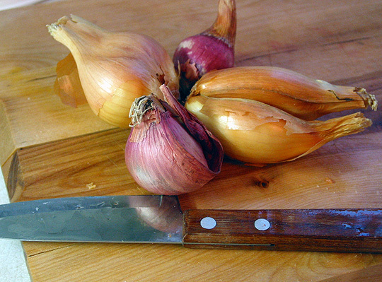 Tips Techniques And Vegetables | Page 5 | The Kitchn