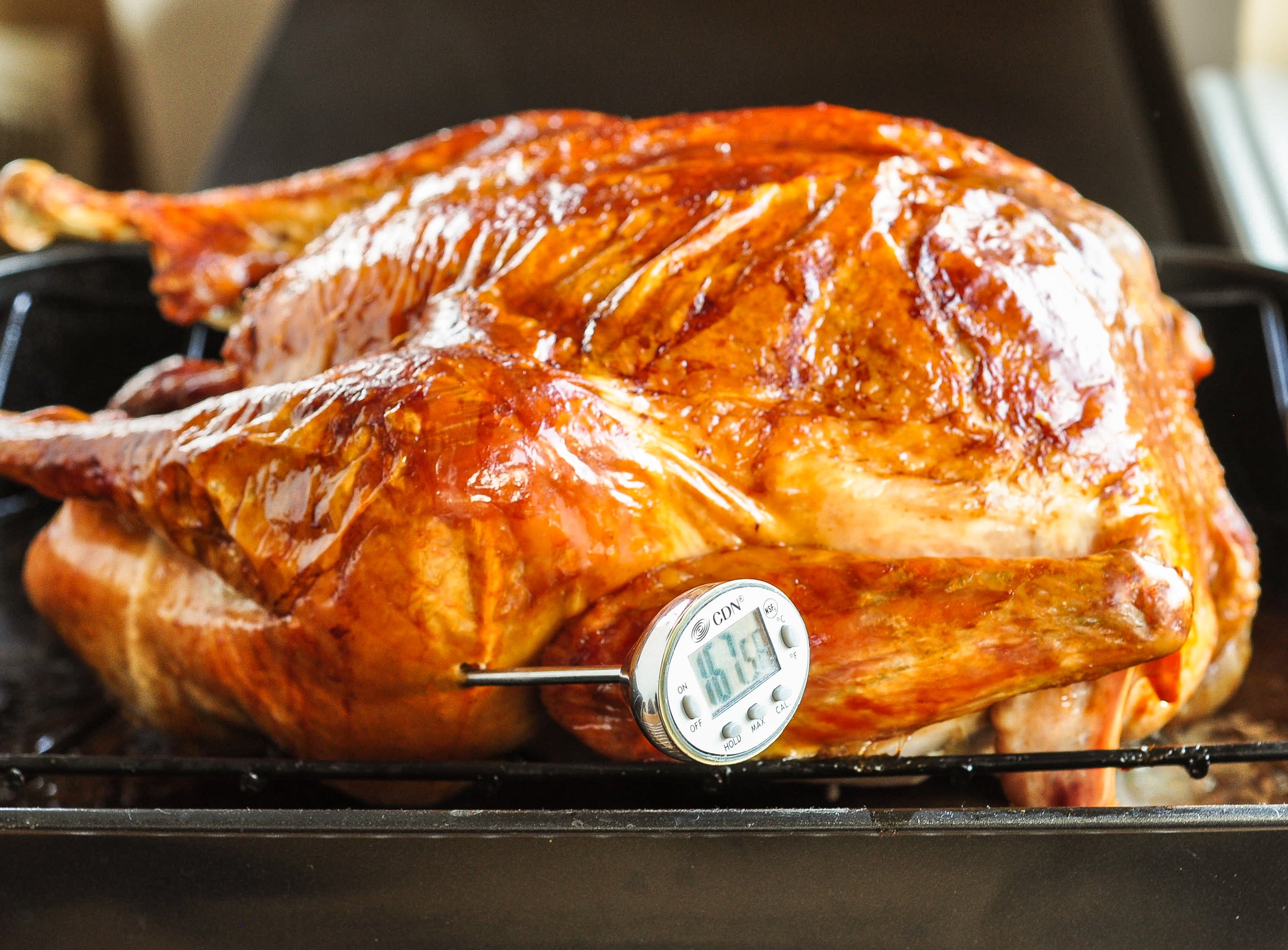 Thanksgiving And Turkey | The Kitchn