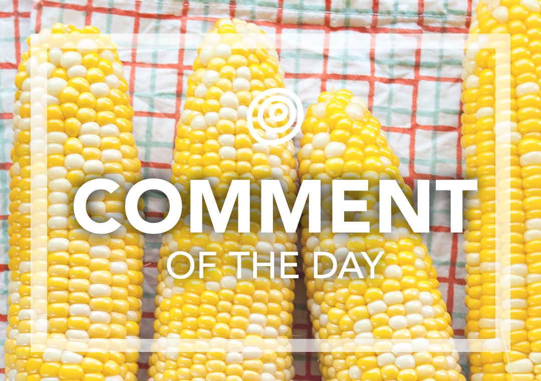 Series Comment Of The Day | The Kitchn