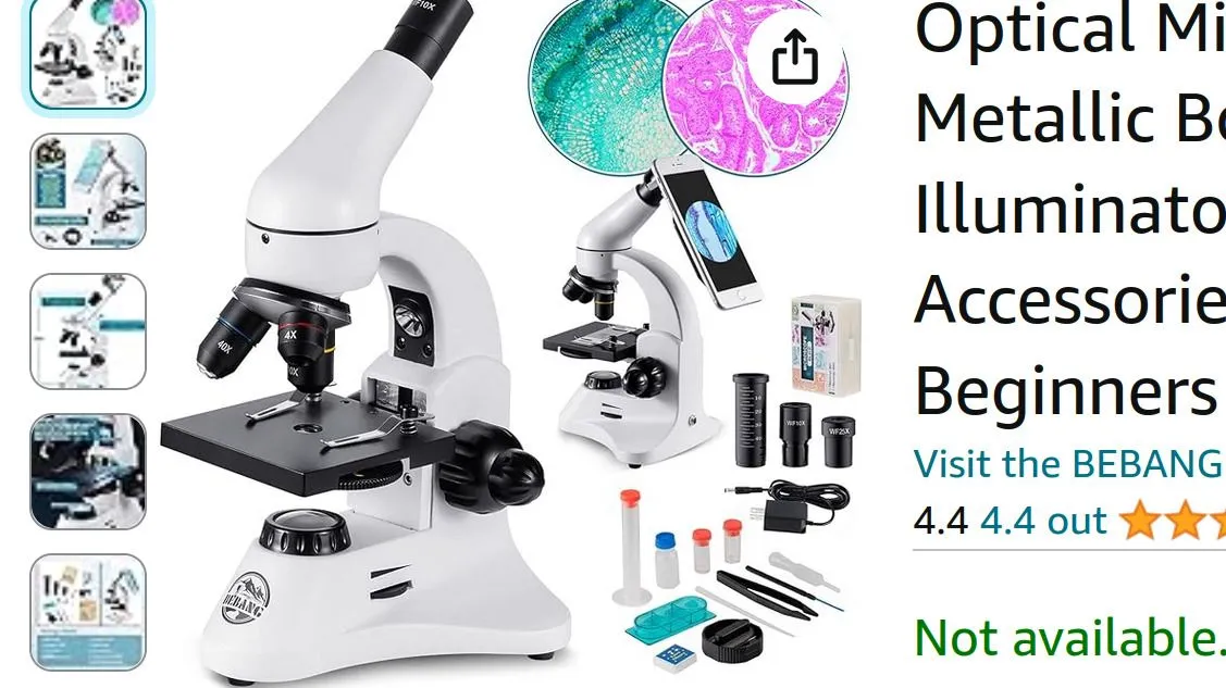 Unschooling sanctuary in Madeira for Bitcoin families | Geyser