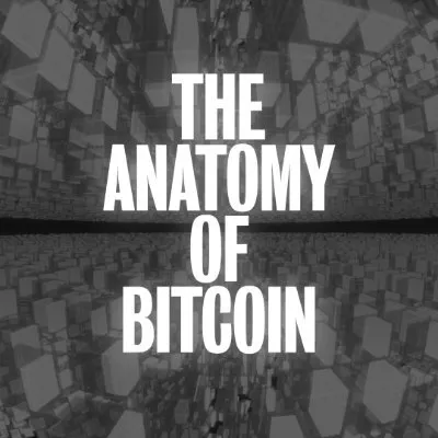The Anatomy Of Bitcoin | Geyser
