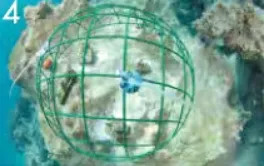 Sango Project | Geyser