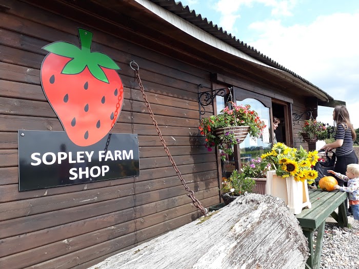 Sopley Farm