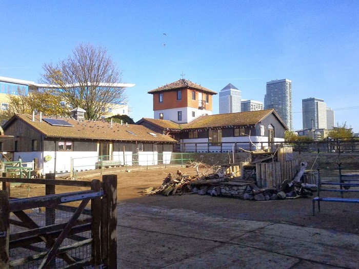 Surrey Docks Farm London